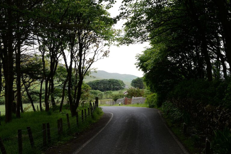 Treeless? That's Changing... | Shetland.org