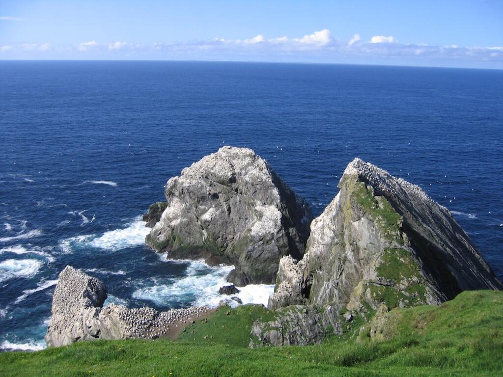 Hermaness Hike | Shetland.org