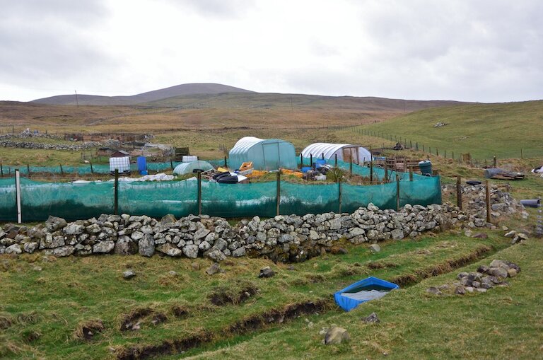 A Visit to Sandness | Shetland.org