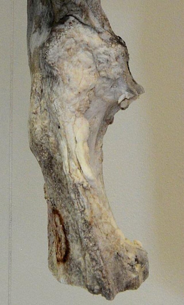 Shetland food and drink: a rich and varied larder | Shetland.org