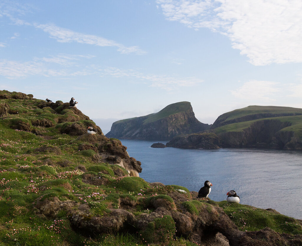 Visitor information leaflets | Shetland.org