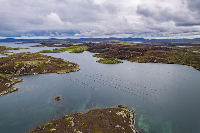 Shetland mussels – a shellfish success story | Shetland.org