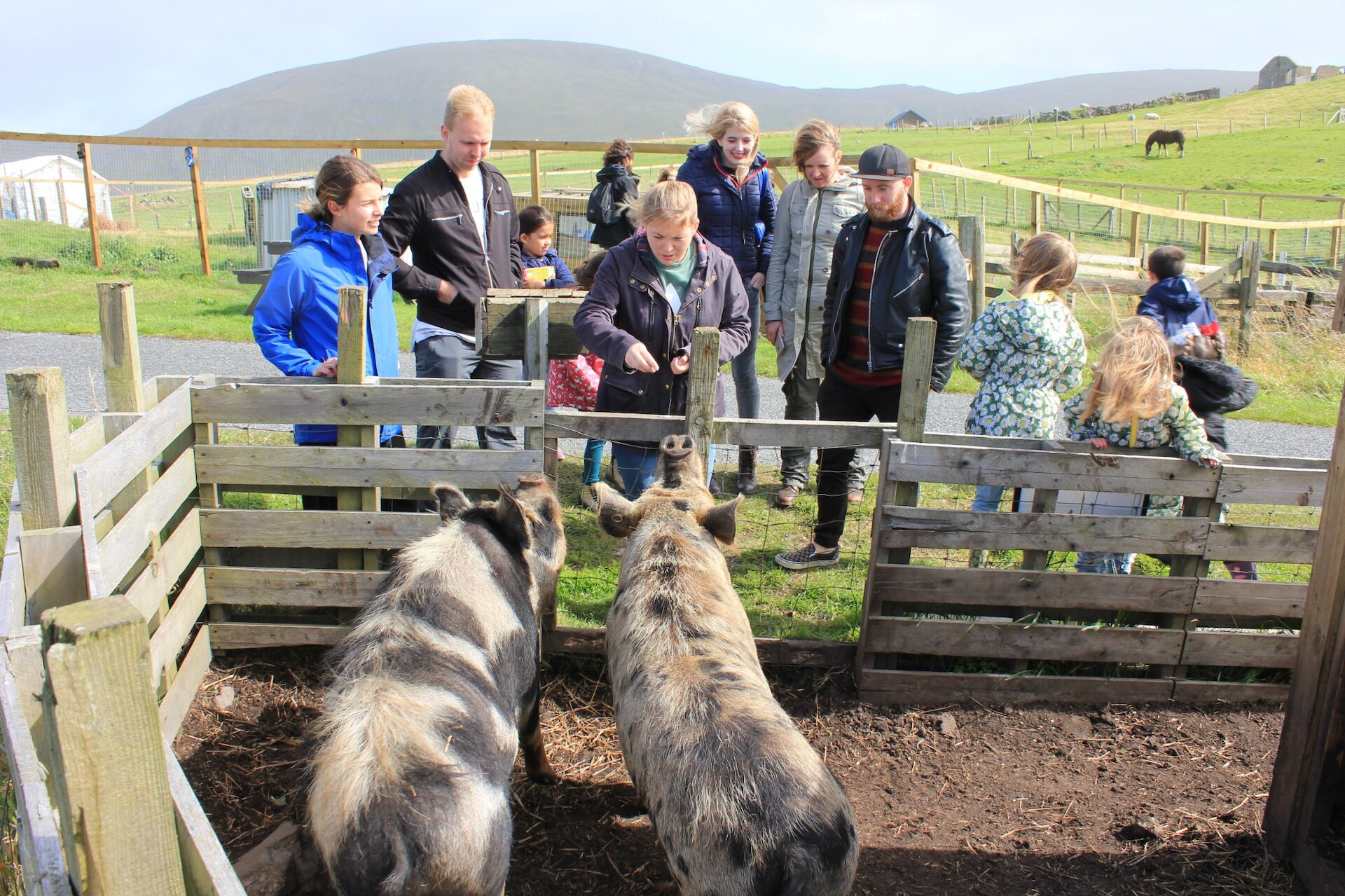 The Outpost: One of Shetland's Best Kept Secrets | Shetland.org